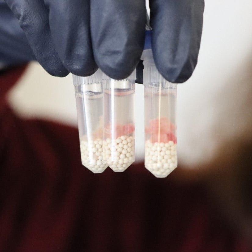 CWD Venison Test Kit – Priogen